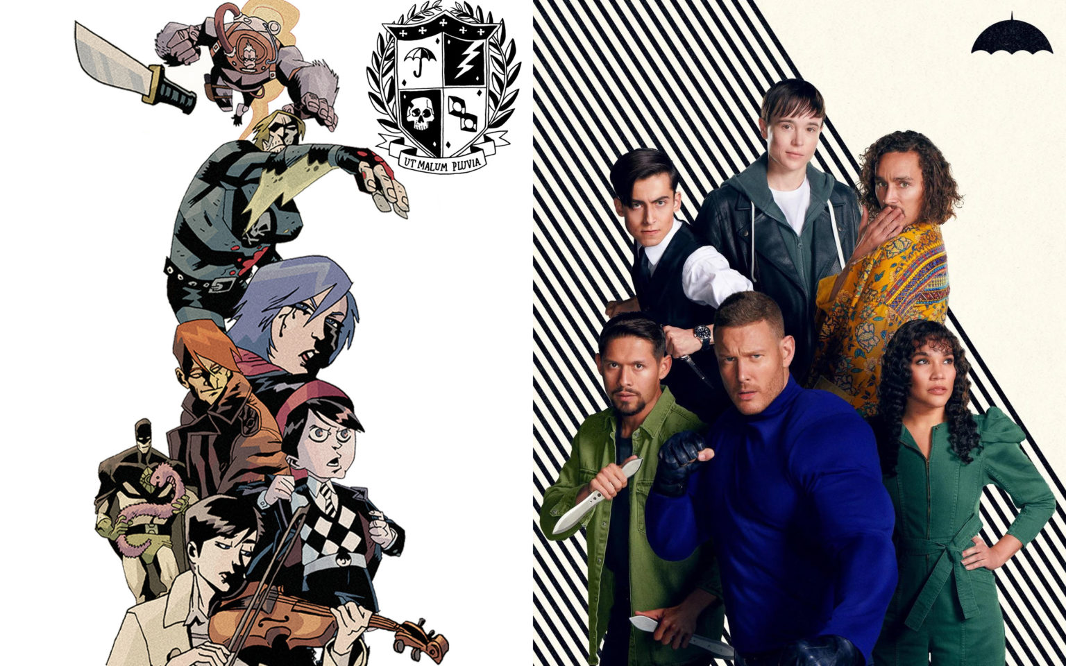 20 | janvier | 2026 | Bruce Lit